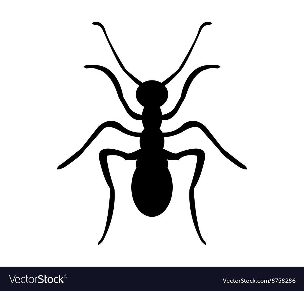 Ant Royalty Free Vector Image - VectorStock