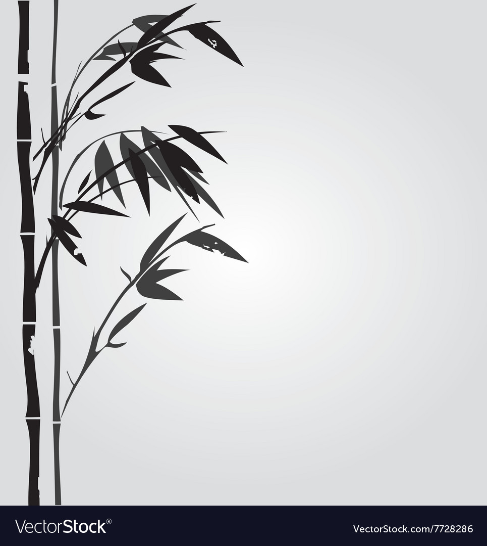 Bamboo Royalty Free Vector Image - VectorStock