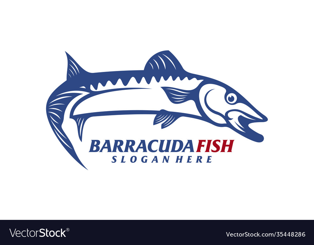 Barracuda fish design creative Royalty Free Vector Image