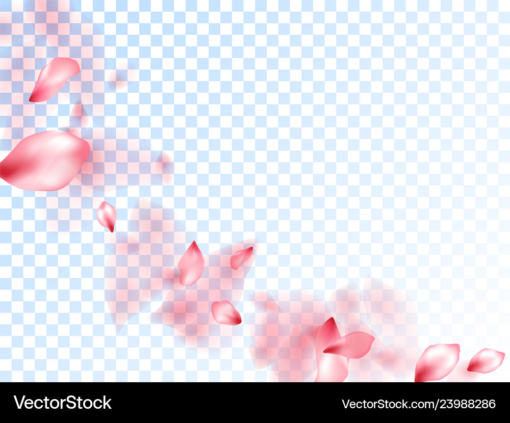 Pink sakura petals falling graphics Royalty Free Vector
