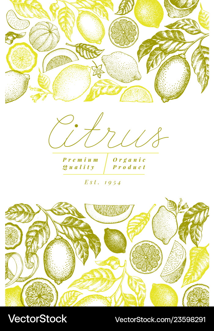 Vintage citrus banner template lemon tree design Vector Image