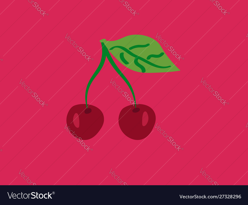 Cherry On White Background Royalty Free Vector Image