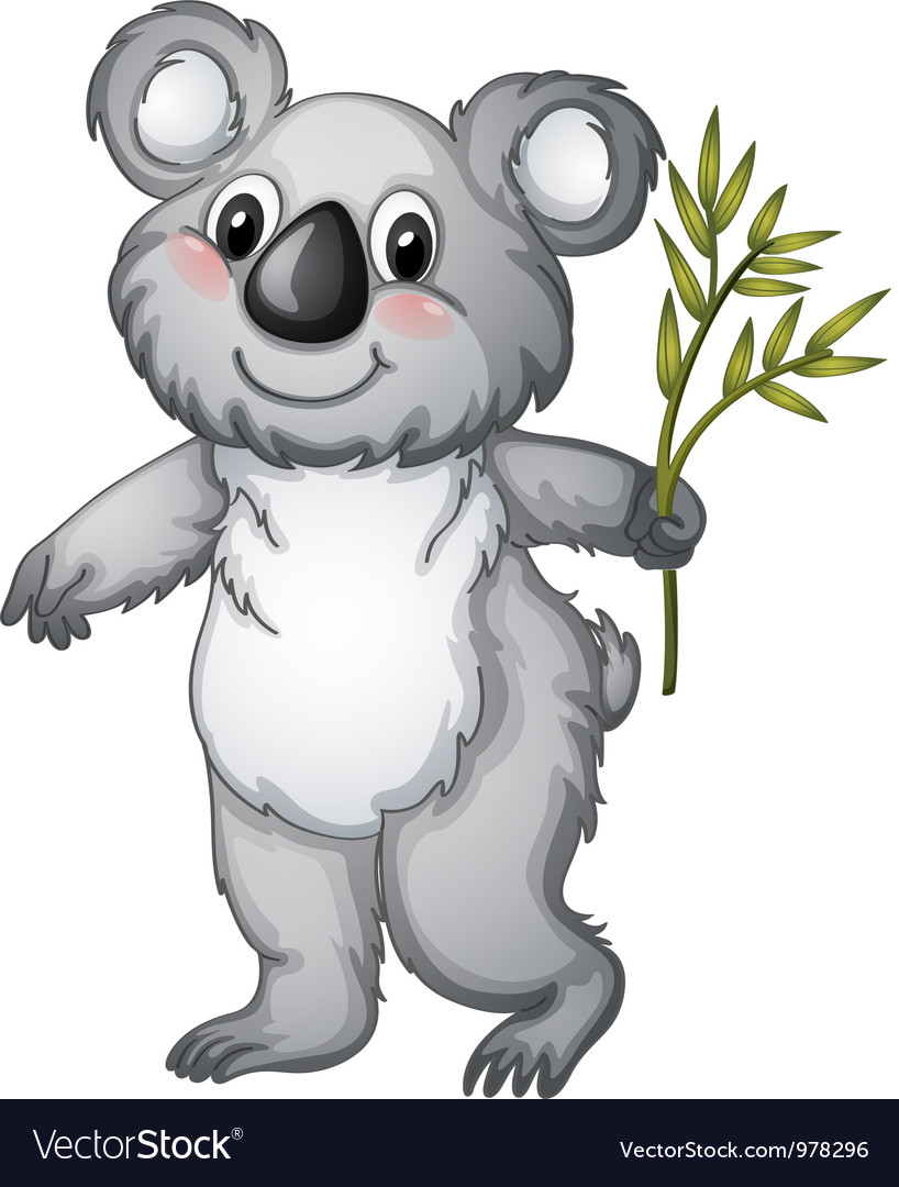 Koala Royalty Free Vector Image - VectorStock