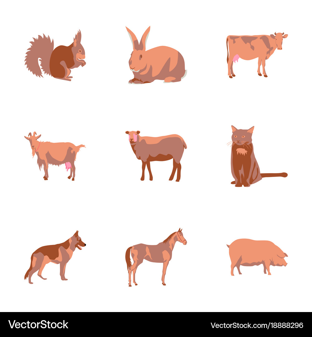 Set of in flat style animals Royalty Free Vector Image