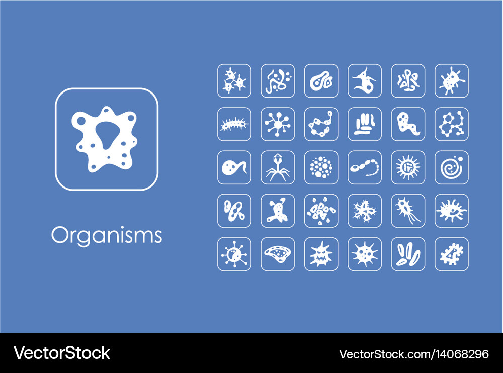Set of organisms simple icons Royalty Free Vector Image