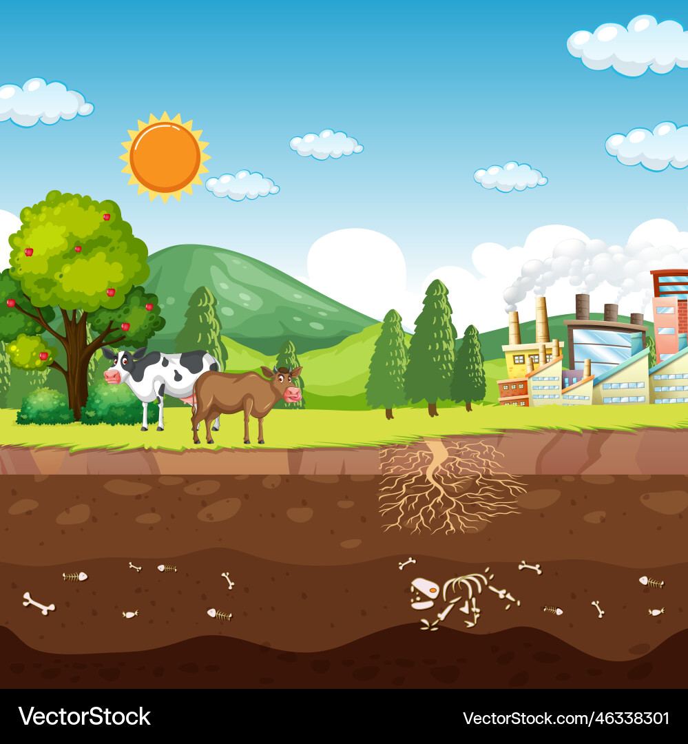 Carbon cycle concept for science education Vector Image