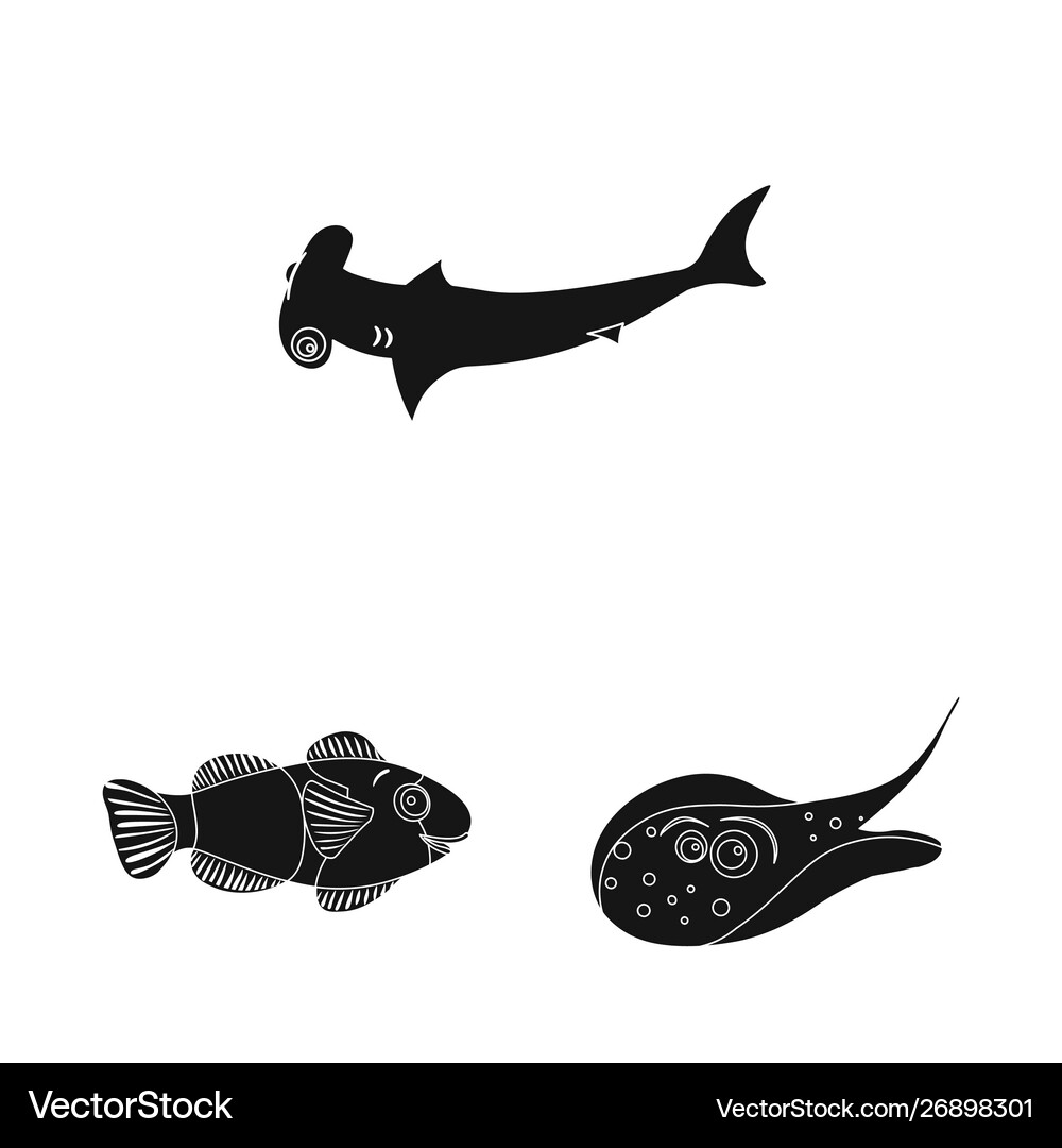 Design sea and animal logo set Royalty Free Vector Image
