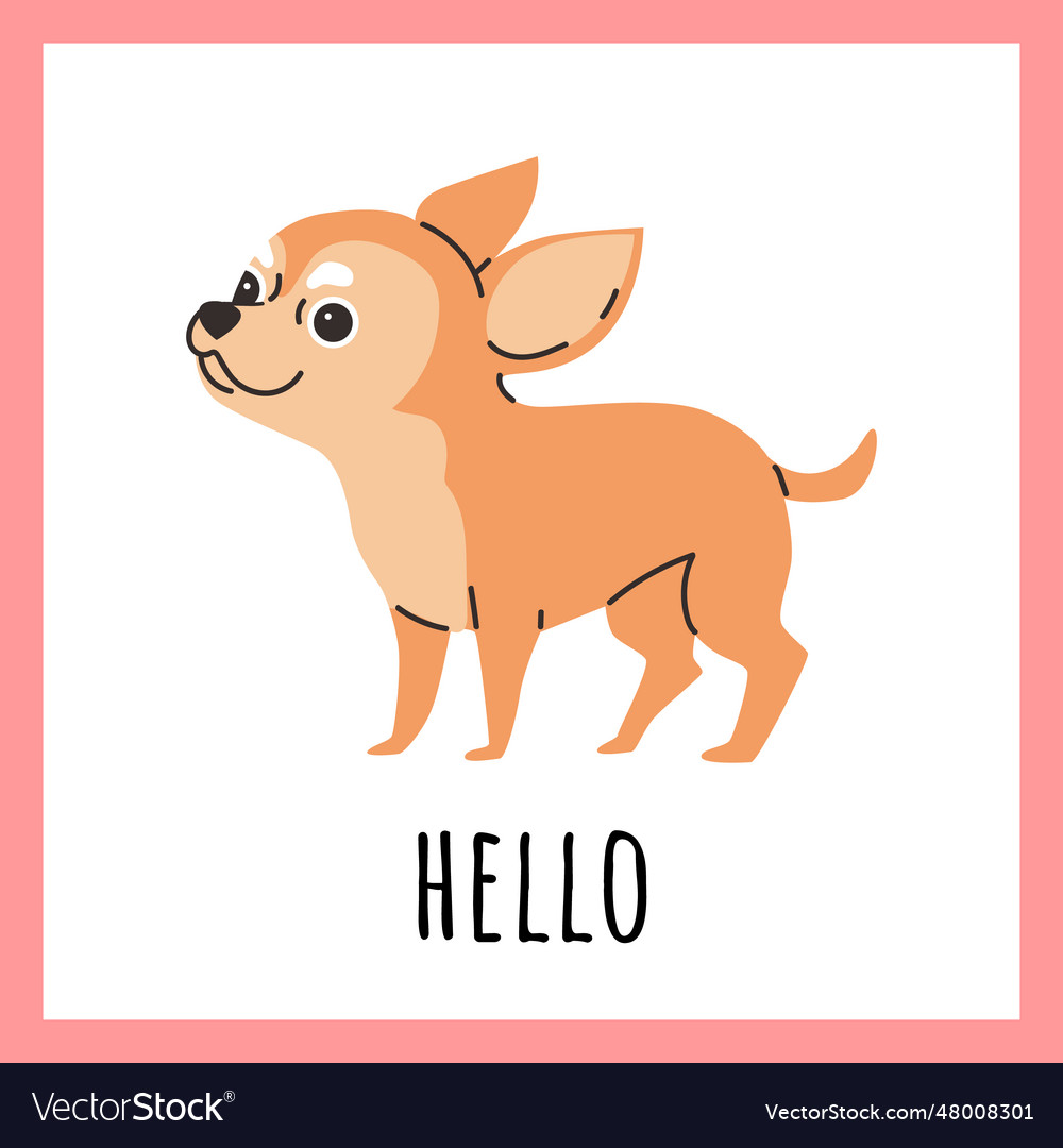 Squared banner with funny smiling chihuahua dog Vector Image Squared banner with funny smiling chihuahua dog Vector Image
