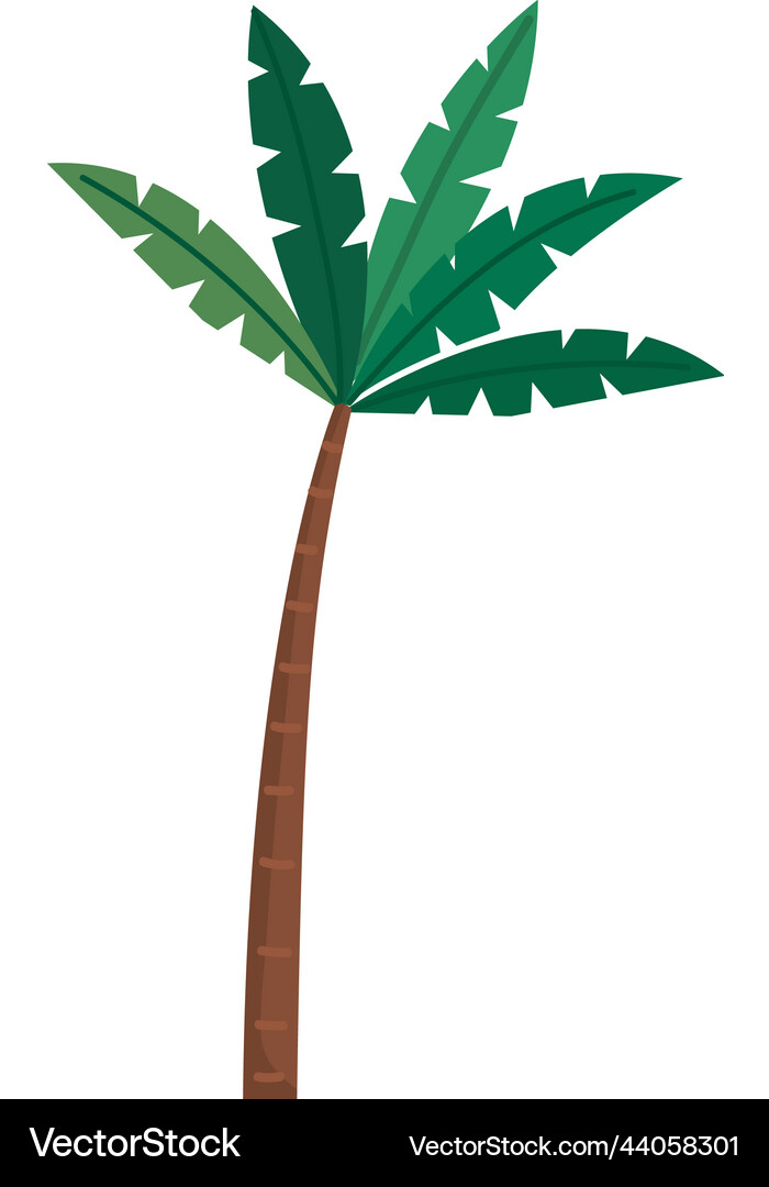 Tree palm tropical plant Royalty Free Vector Image