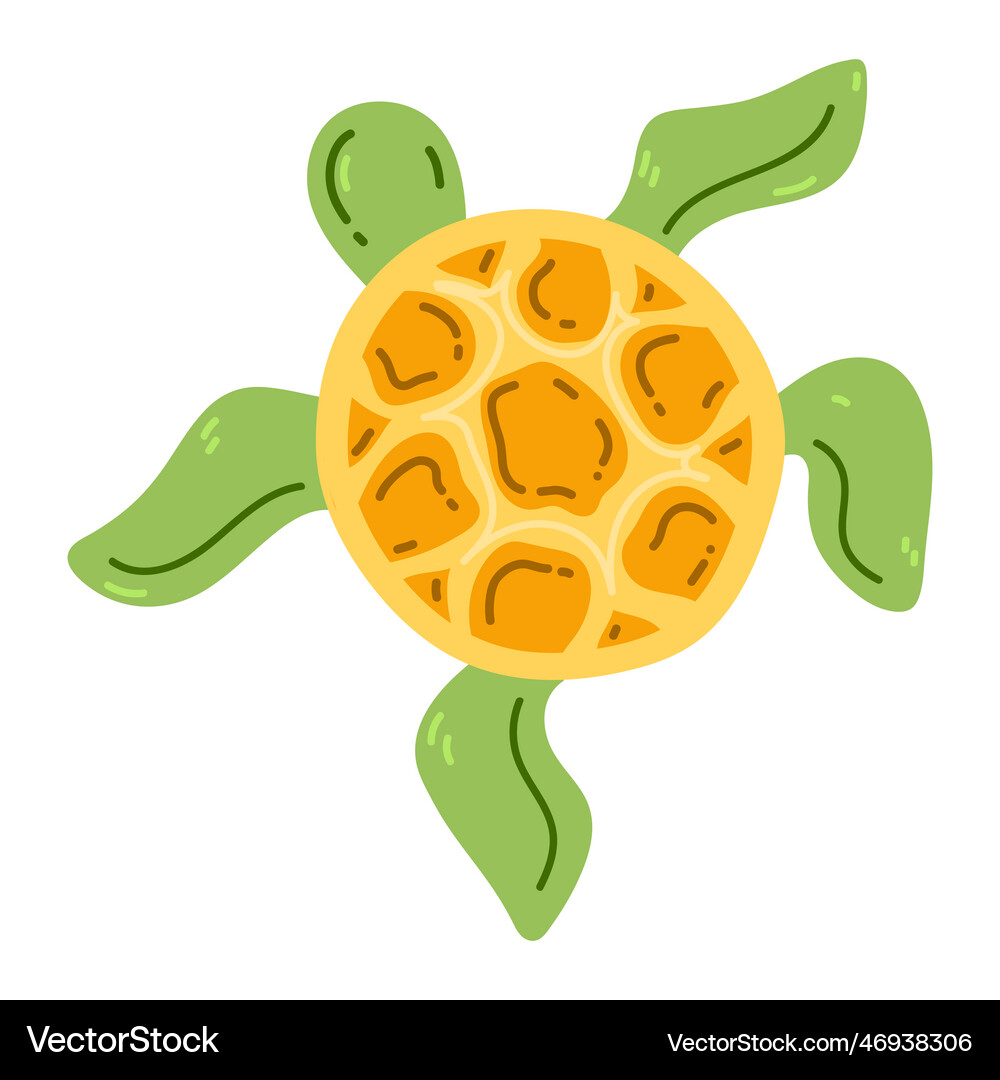 Cute cartoon turtle view from above cartoon flat Vector Image