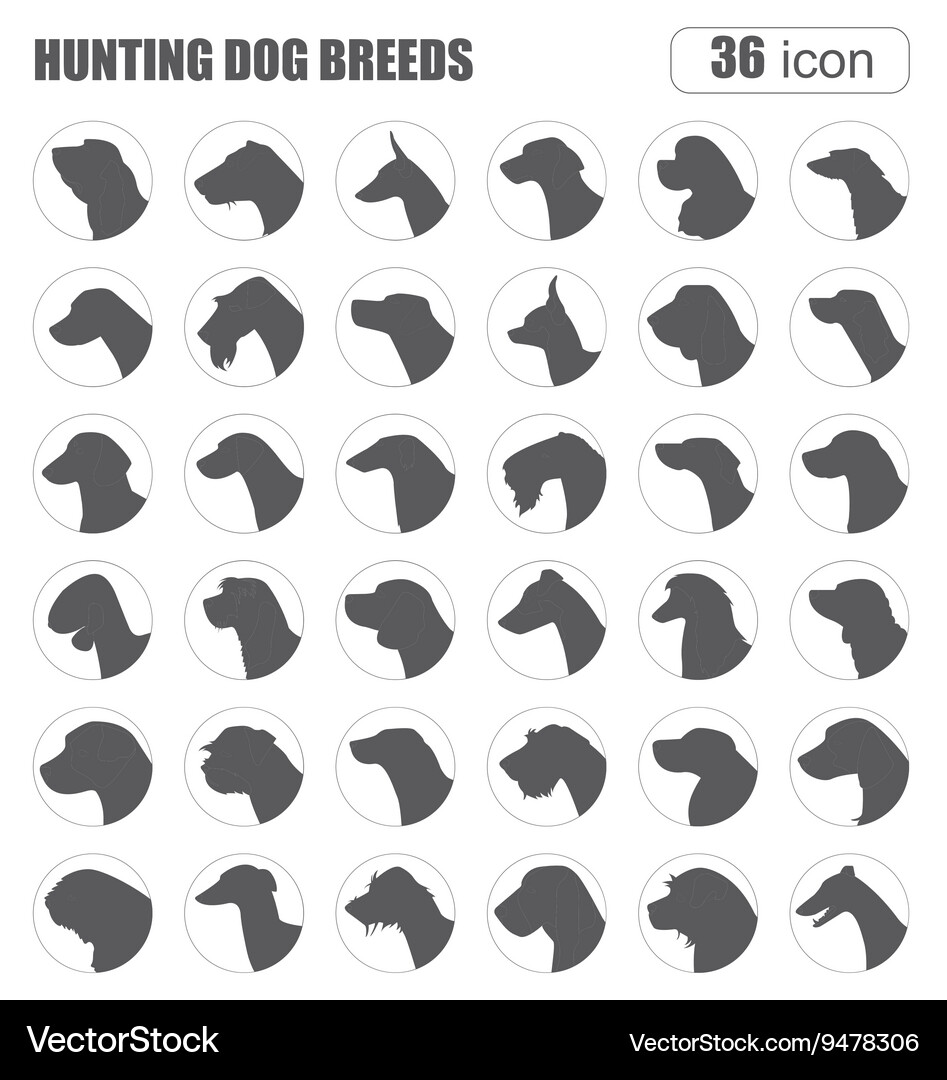 Dog breeds hunting set icon flat style Royalty Free Vector