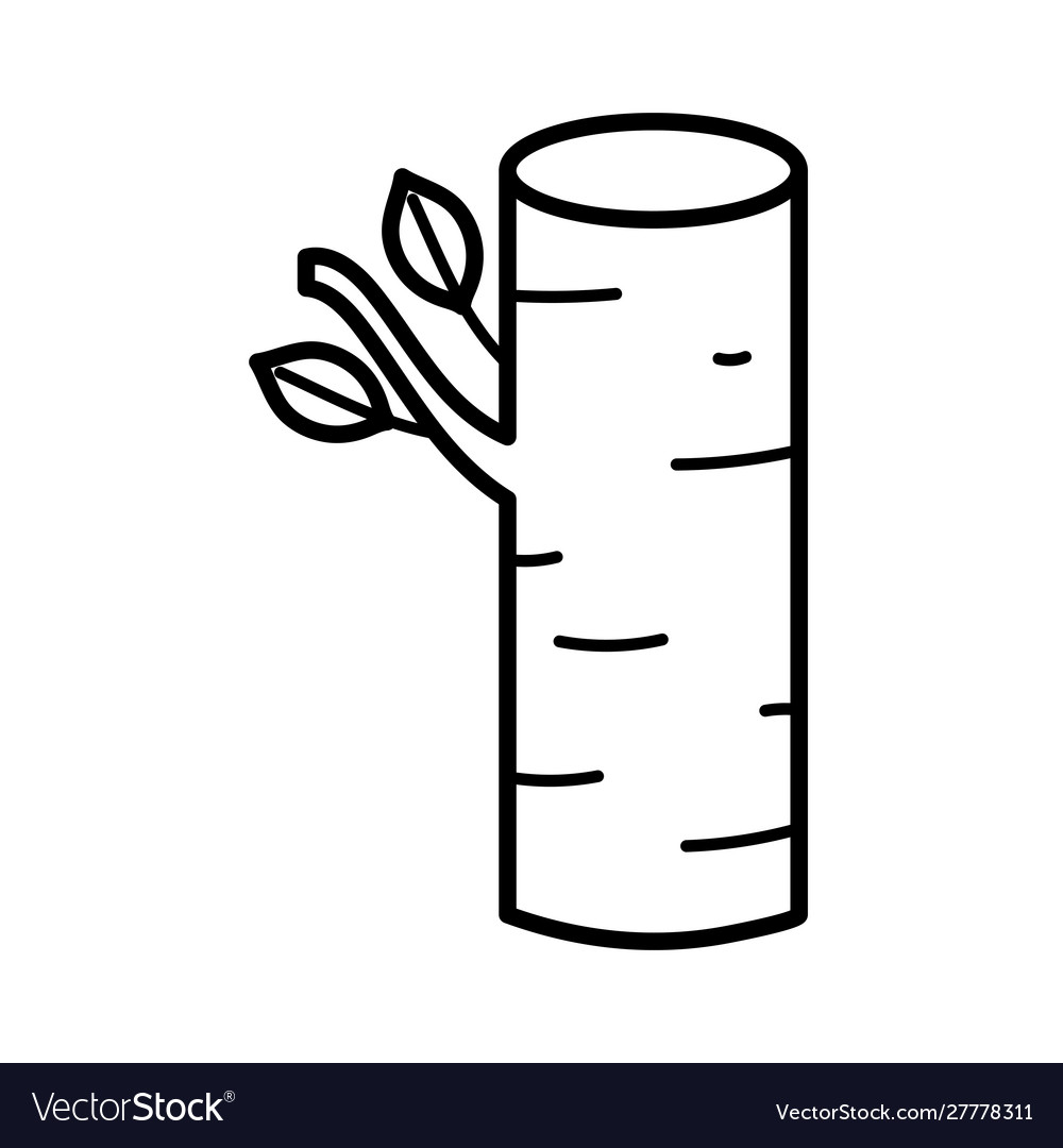 Tree trunk branches leaves on white background Vector Image