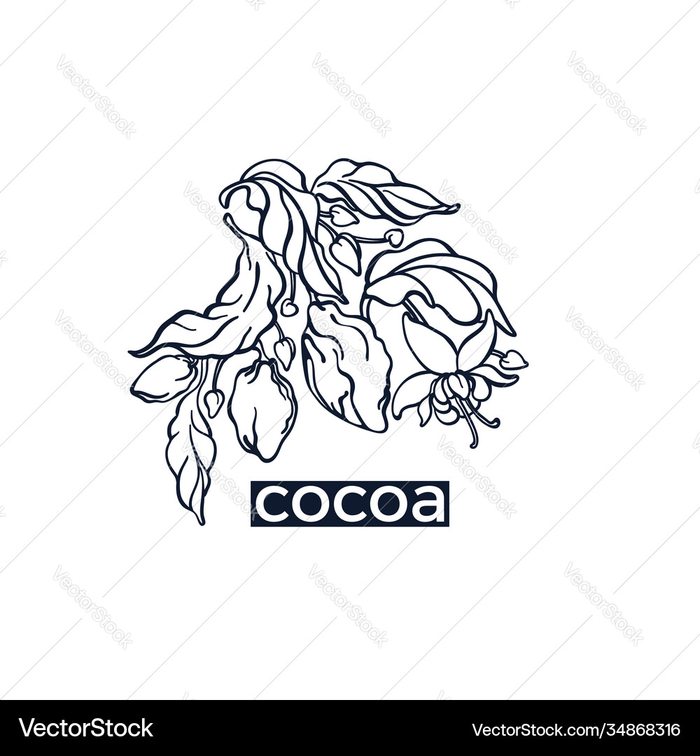 Art line logo chocolate symbol cocoa tree Vector Image