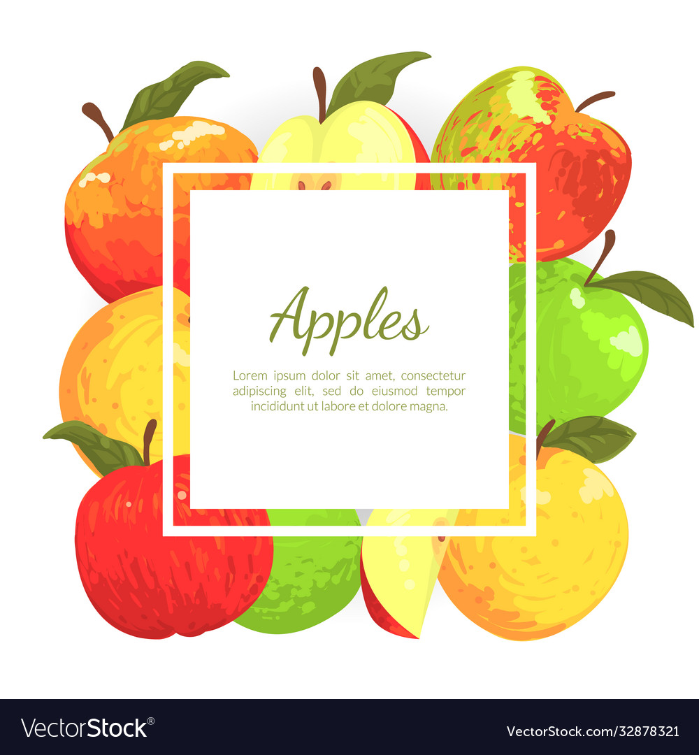 Apples banner template with place for text farm Vector Image