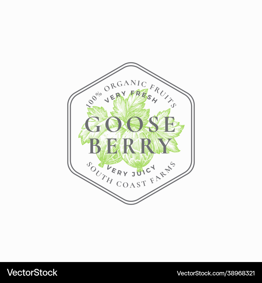 Gooseberry purveyors frame badge or logo template Vector Image