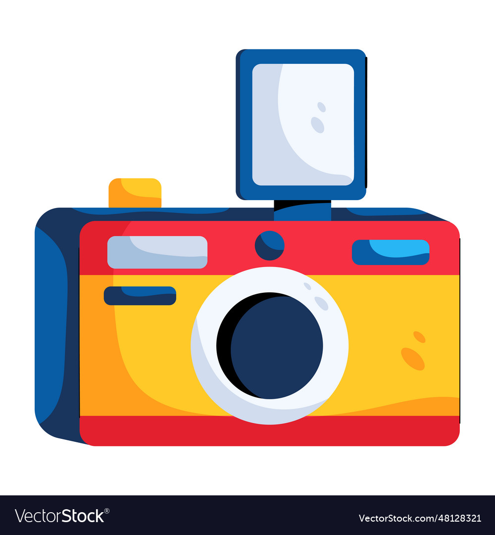 Photography camera Royalty Free Vector Image - VectorStock