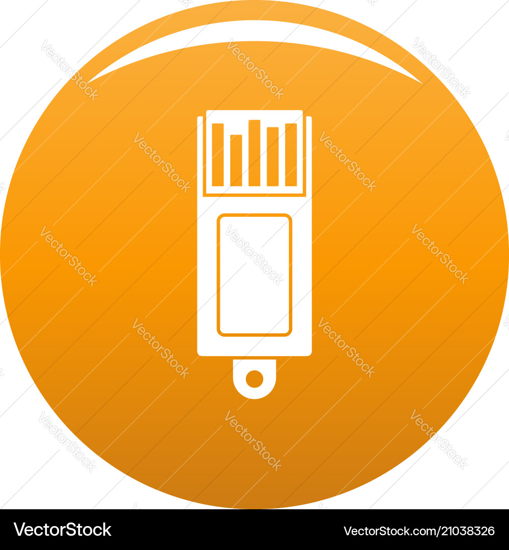Information usb icon orange Royalty Free Vector Image