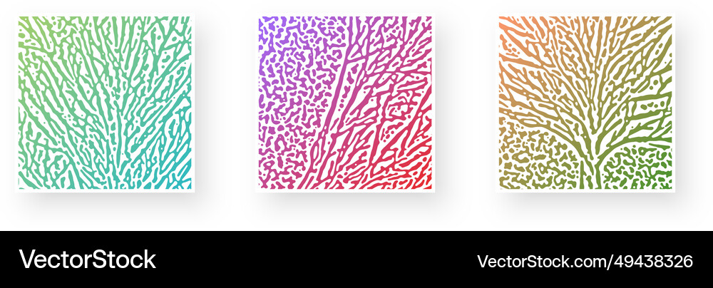 Set of paper cards with textured pattern design Vector Image