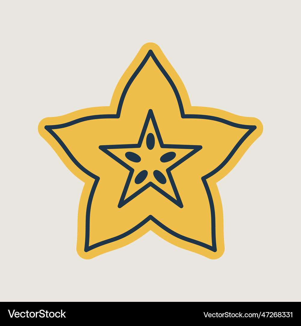 Carom carambola starfruit icon graph symbol Vector Image