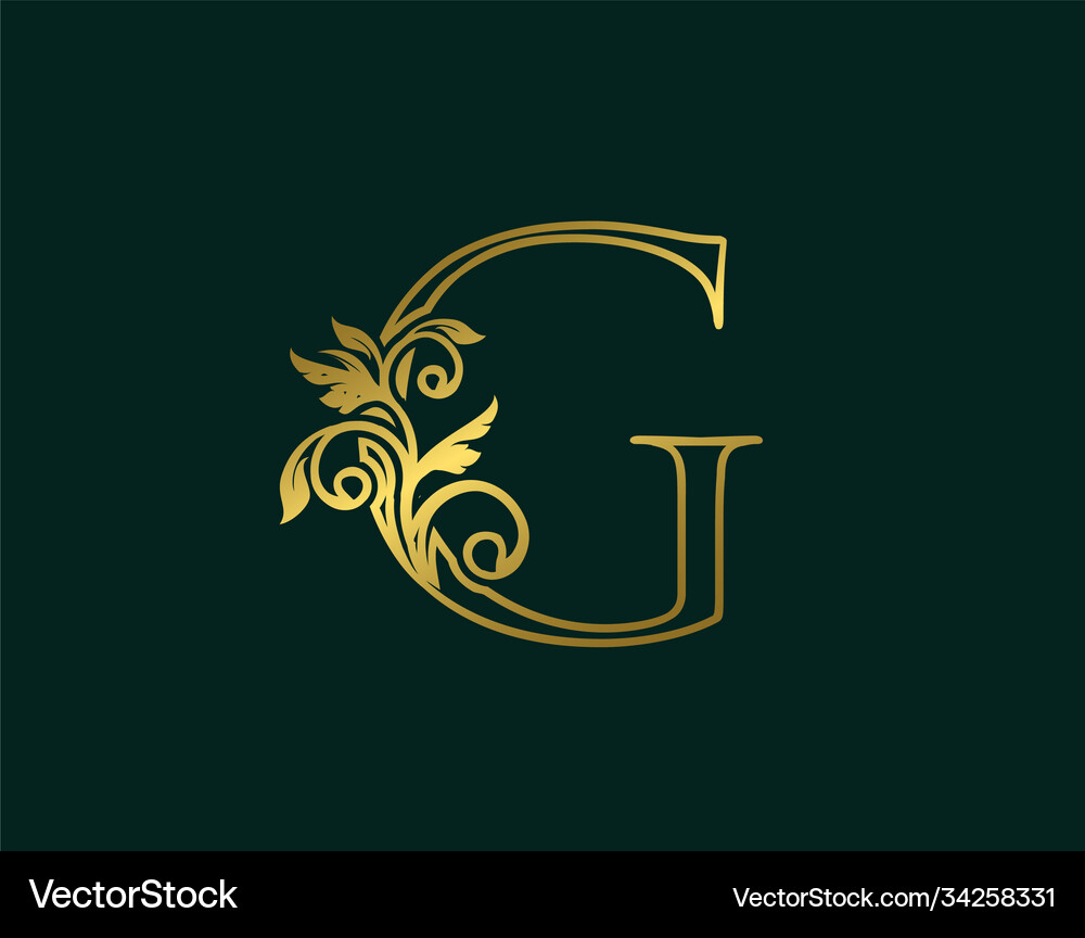 Gold g luxury logo icon classy letter design Vector Image