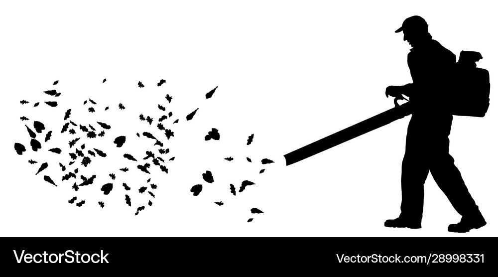 Landscaper Collecting Leaves with Blower Vector Image