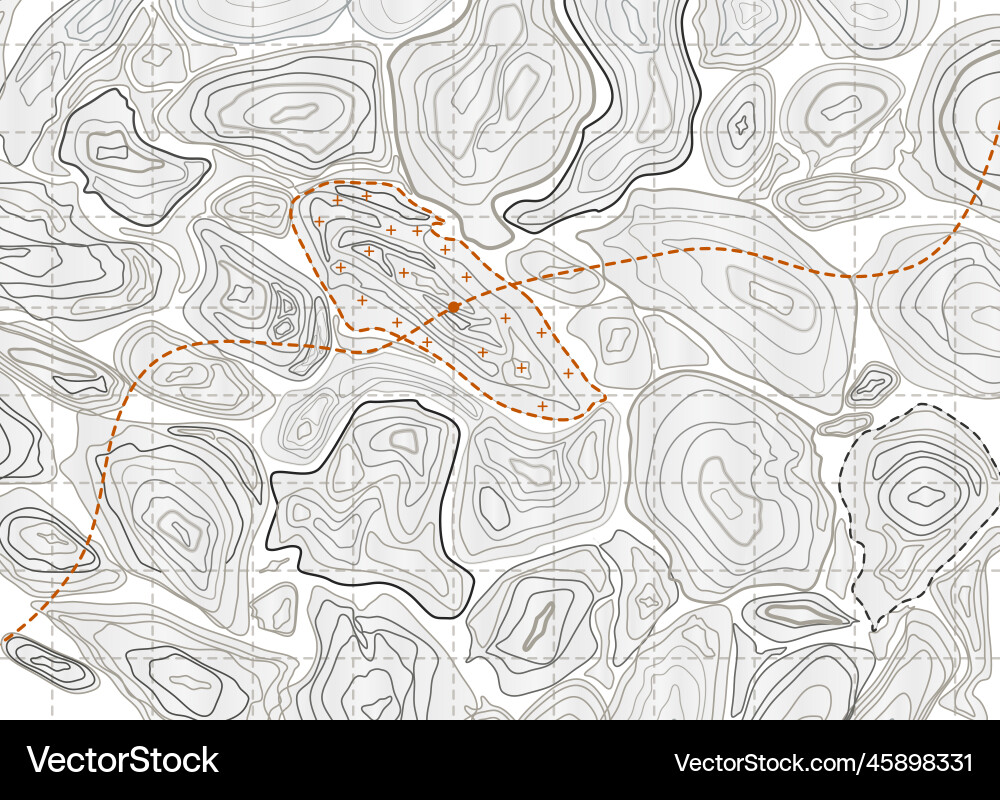 Old topographic map vintage geology line Vector Image