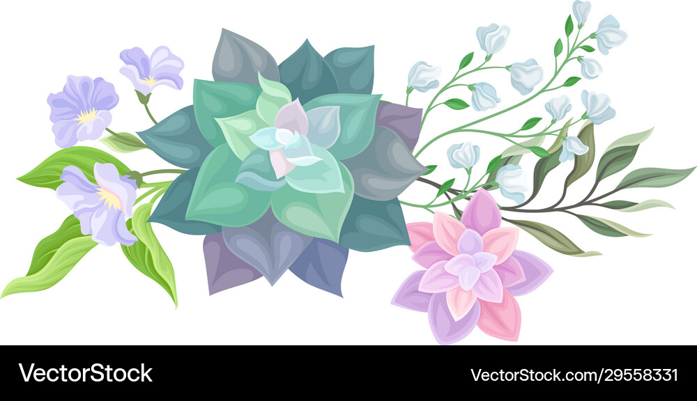 Succulent echeveria floral arrangements set Vector Image