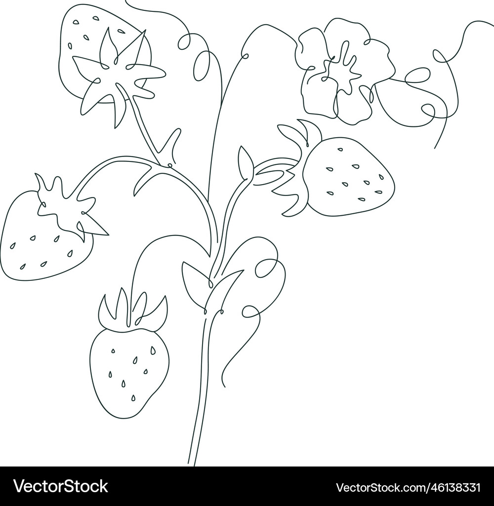 Tasty organic strawberries line art design element