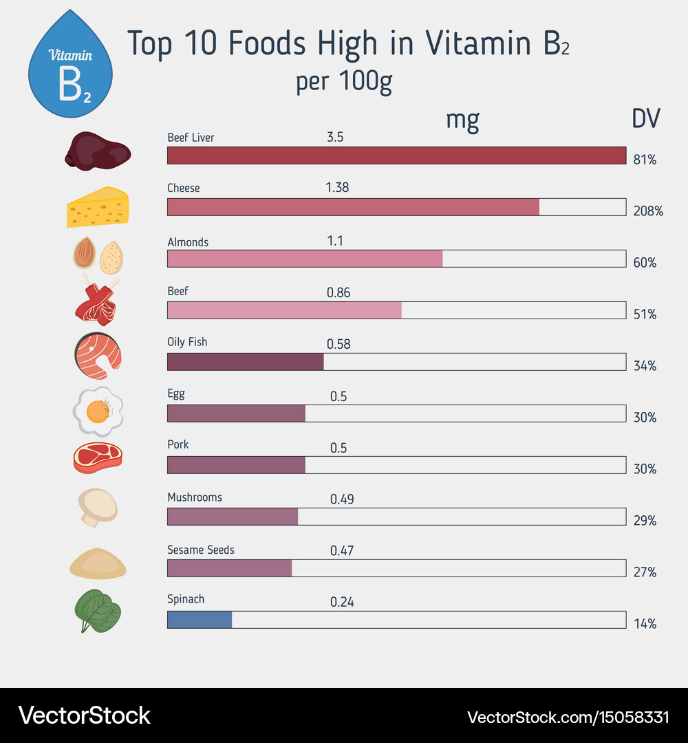 Vitamin b2 or riboflavin infographic Royalty Free Vector