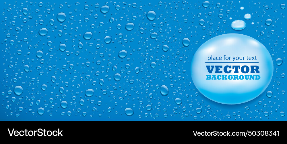 Water drops on blue background with place for text