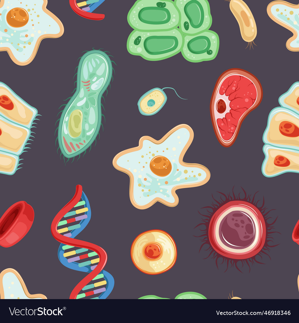 Human cells as medicine and biology Royalty Free Vector