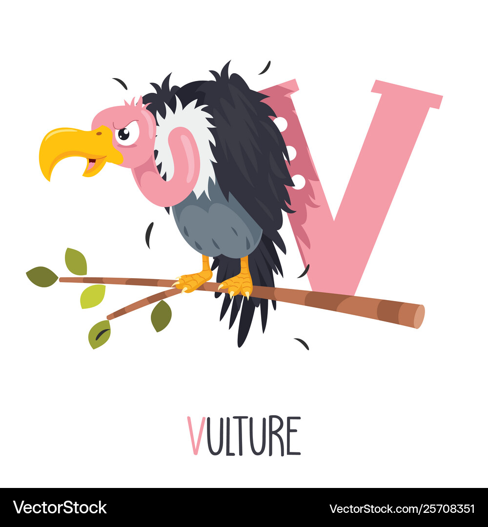 Alphabet letter v and vulture Royalty Free Vector Image
