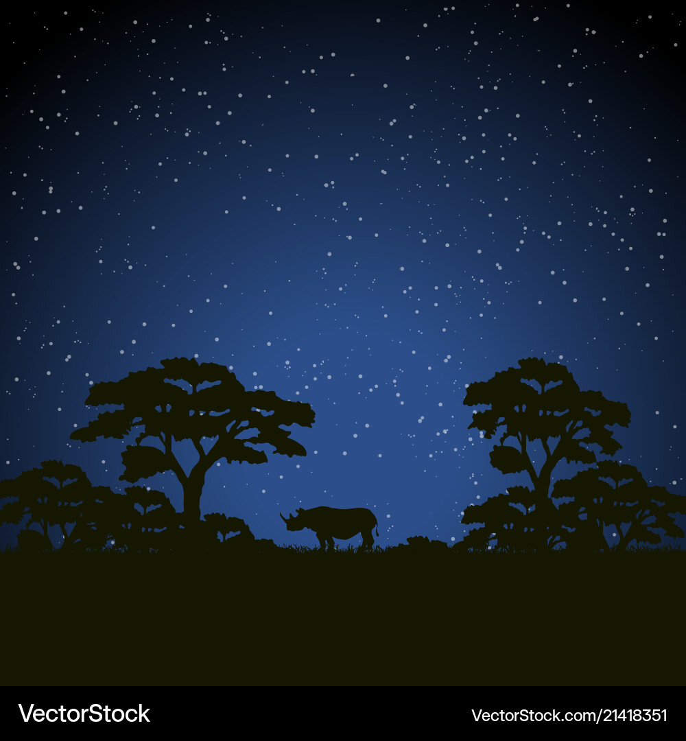 Starry night scene african landscape Royalty Free Vector
