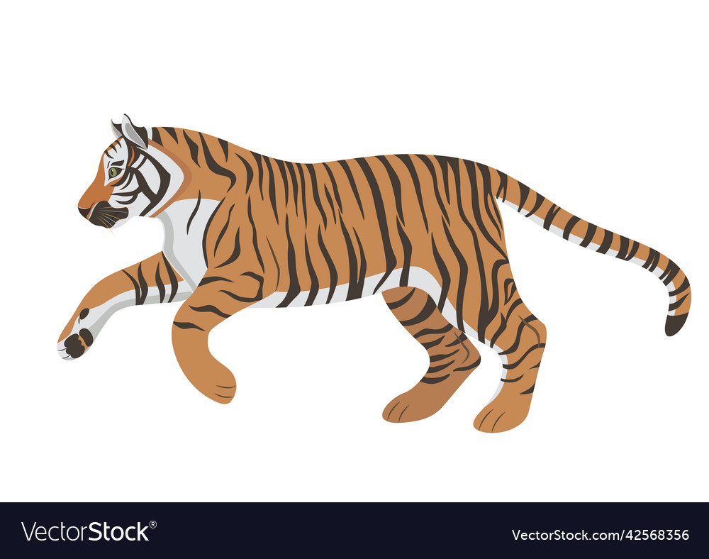 Jumping Tiger Vector Image
