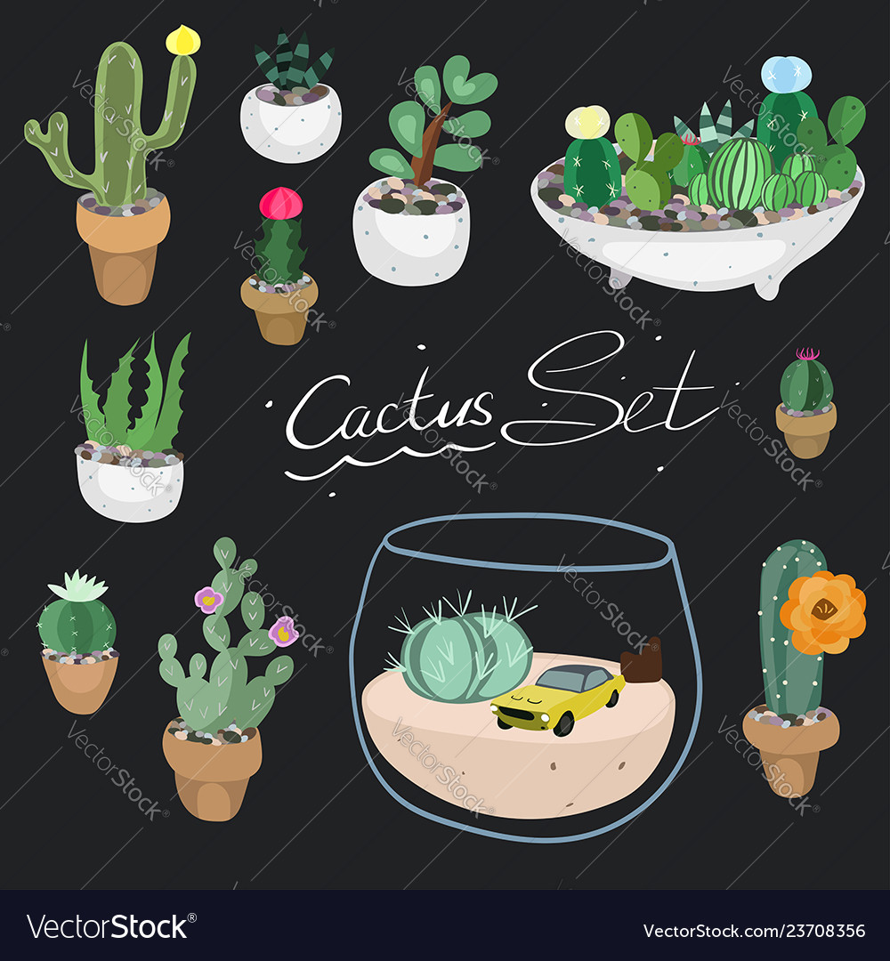 Caktus Royalty Free Vector Image - VectorStock