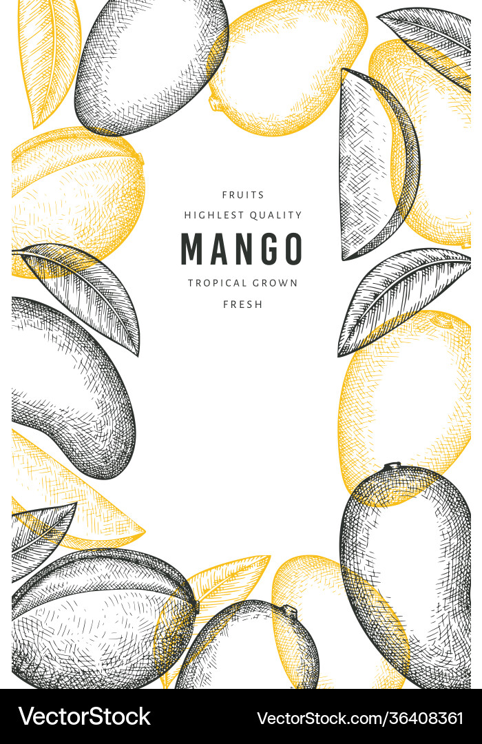 Hand drawn sketch style mango banner organic Vector Image