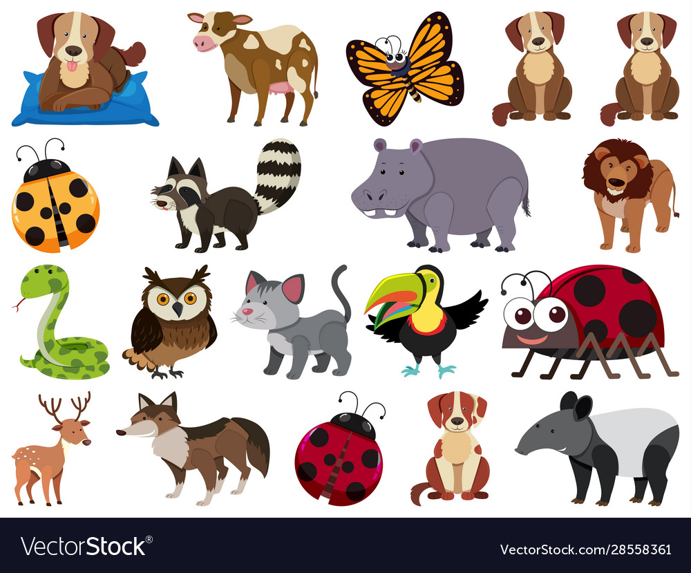 Set isolated objects theme wild animals Royalty Free Vector