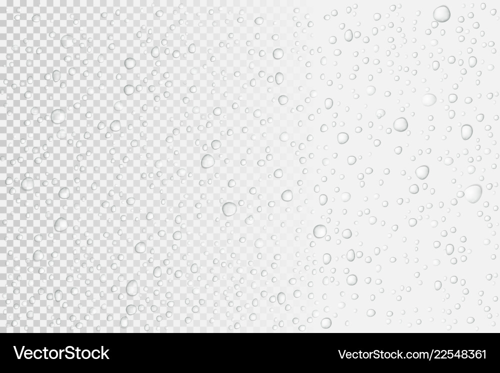 Water drops on glass rain transparent Royalty Free Vector