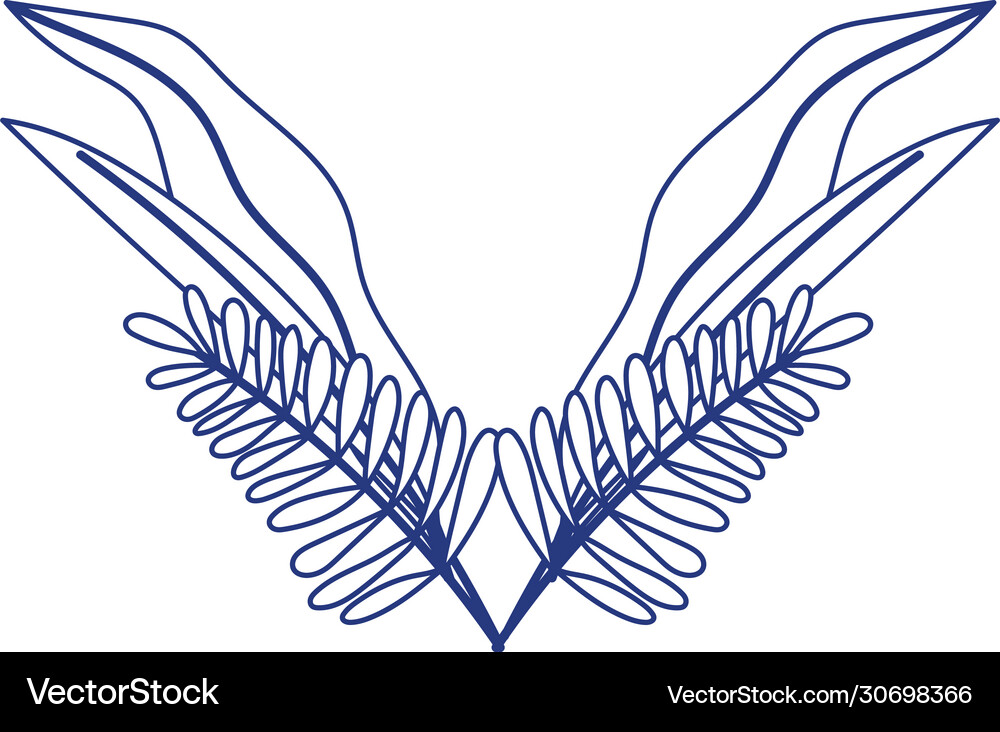 Branches leaves foliage nature botanical isolated Vector Image