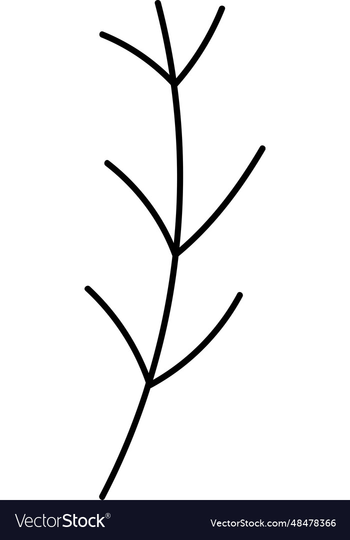 Tree branch lined Royalty Free Vector Image - VectorStock