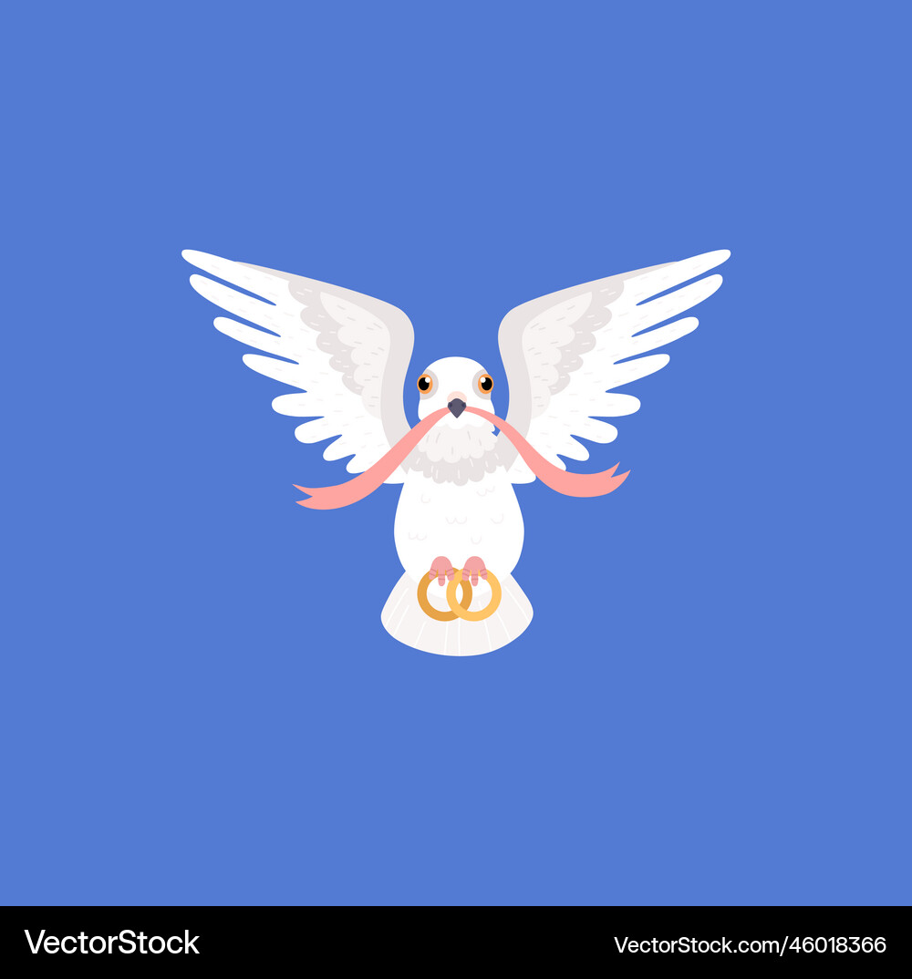 White flying pigeon with ribbon in beak Royalty Free Vector