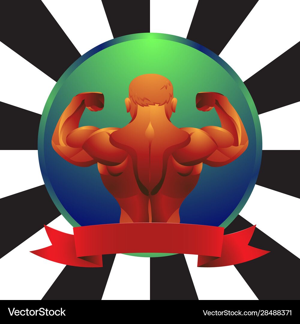 Male bodybuilder posing with his back showing Vector Image