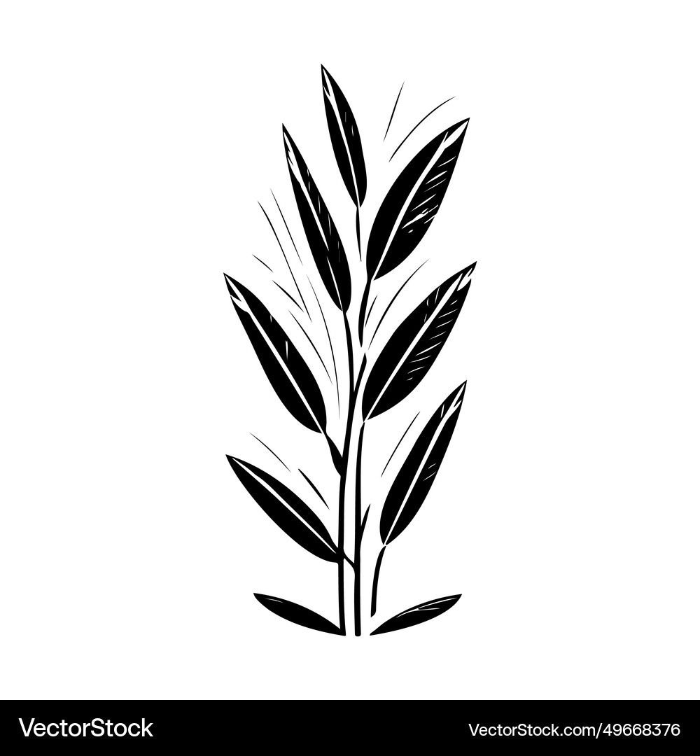 Arrowgrass icon hand draw black colour plant leaf Vector Image
