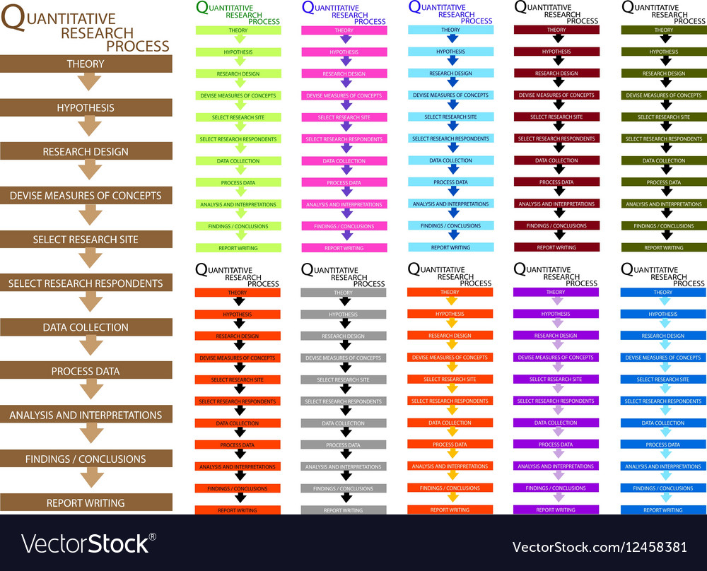 11 step of qualitative research process Royalty Free Vector