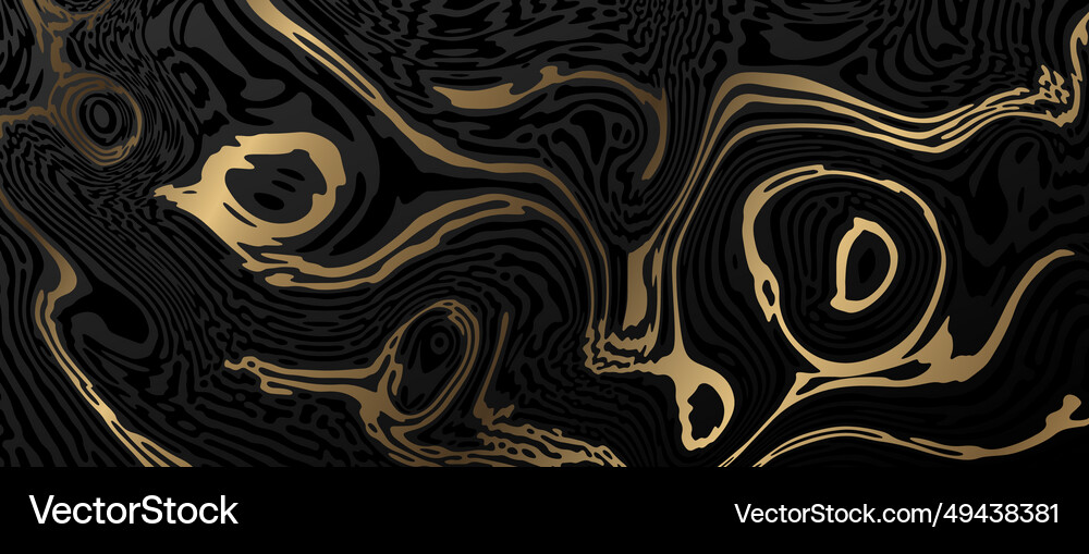 Black abstract poster design with detailed Vector Image