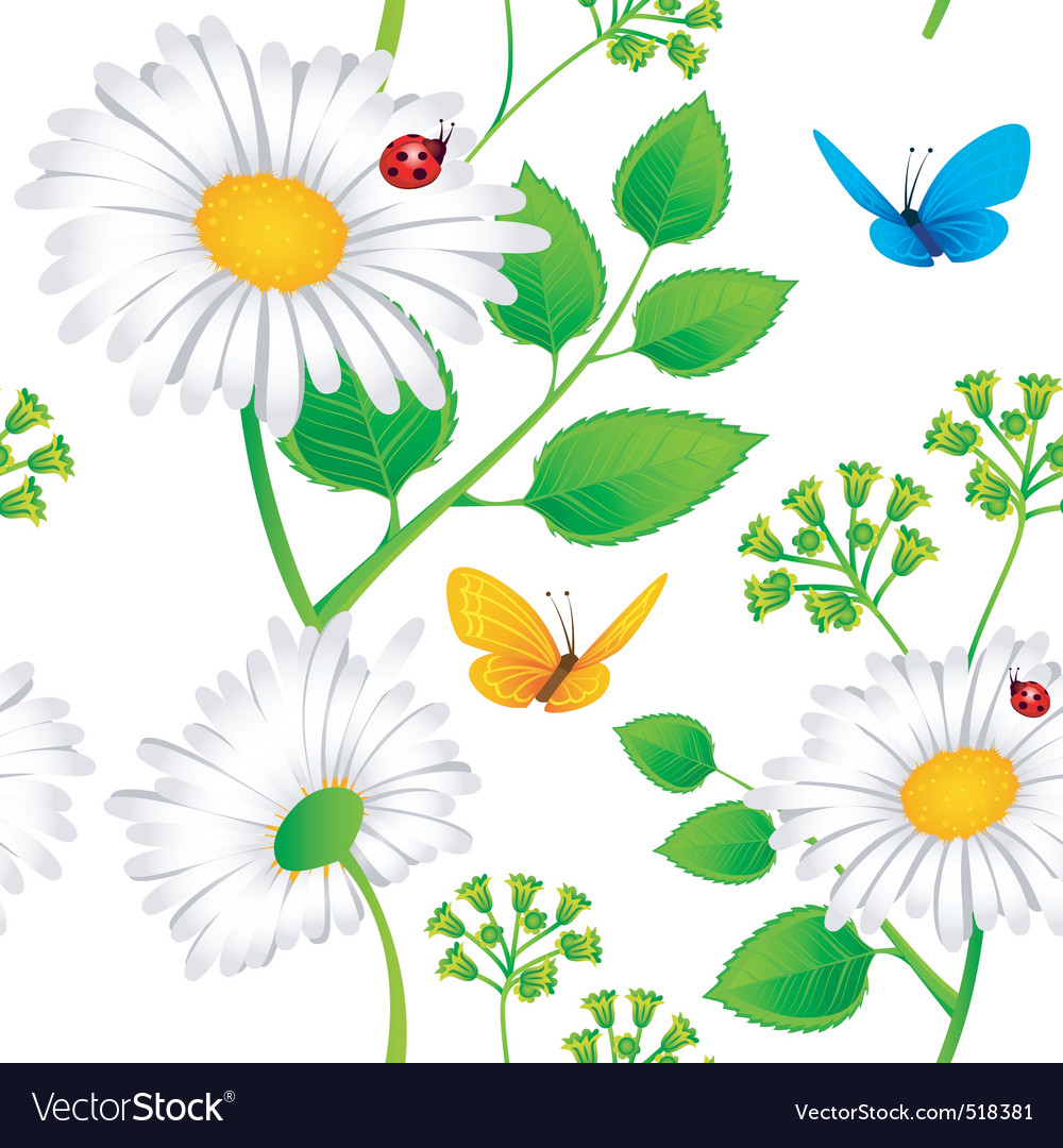 Daisy pattern Royalty Free Vector Image - VectorStock