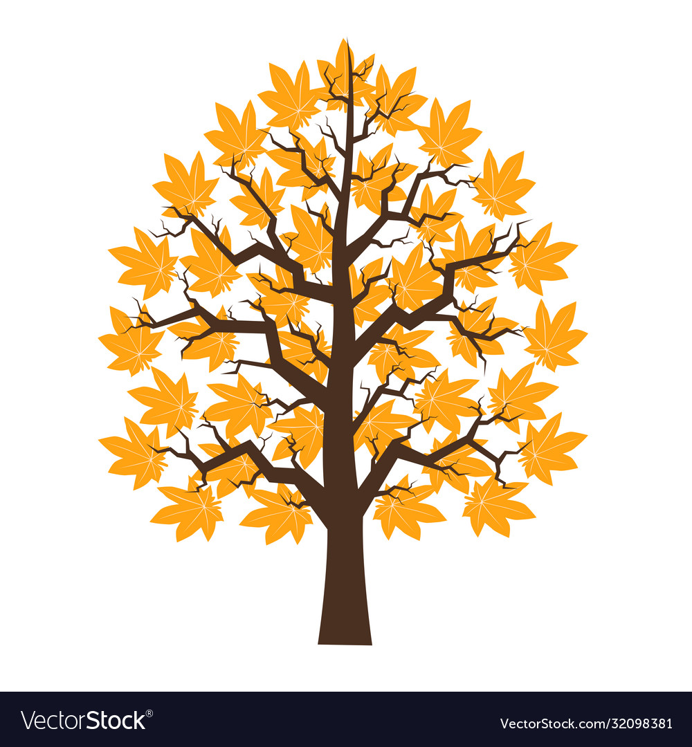 Tree maple with orange leafage Royalty Free Vector Image
