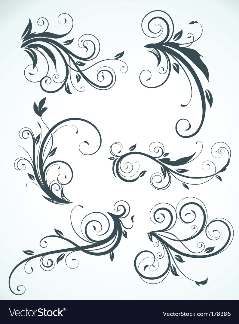 Floral elements Royalty Free Vector Image - VectorStock