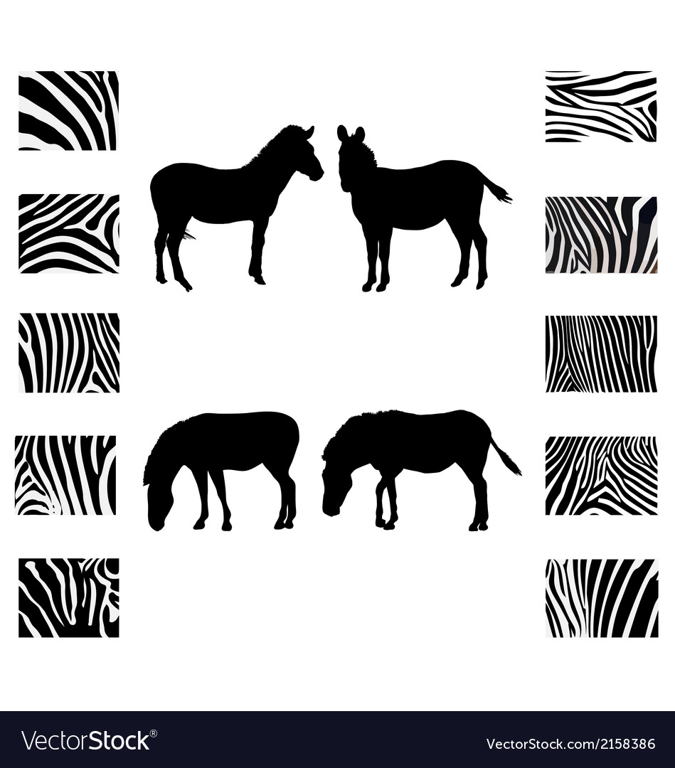 Zebra Royalty Free Vector Image - VectorStock