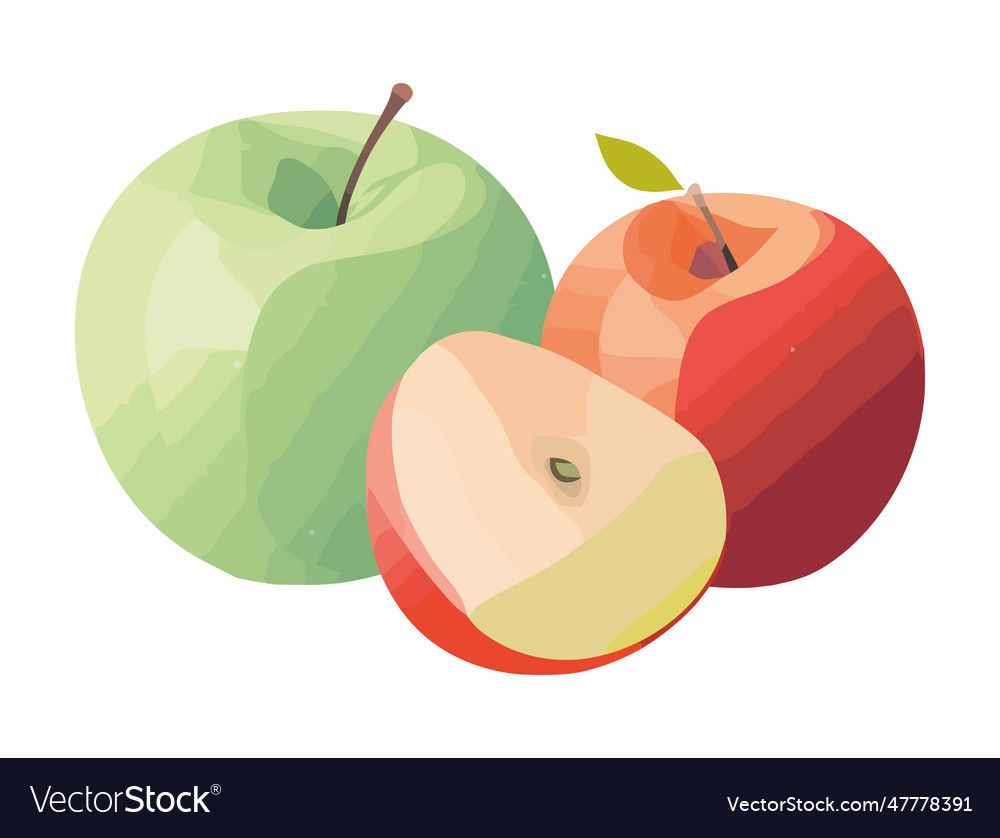 Fresh apples healthy eating and freshness Vector Image
